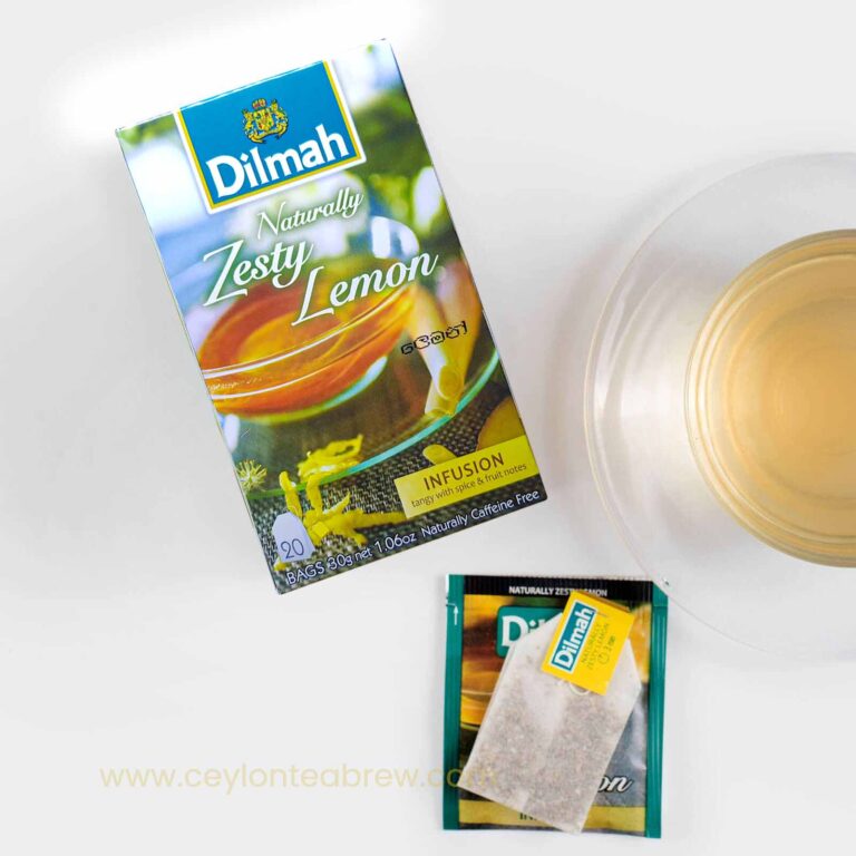 Dilmah Exceptional Perfect Ceylon Luxury Tea Bags | Ceylon Tea Brew