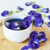 Blue Butterfly Pea Flower Tea Clitoria Ternatea | Ceylon Tea Brew