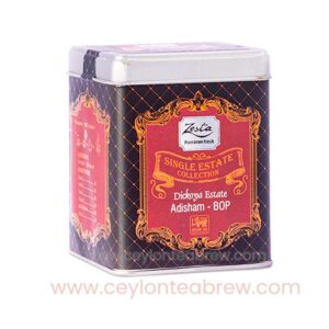 Zesta Ceylon Pure Green Tea Bags | Ceylon Tea Brew